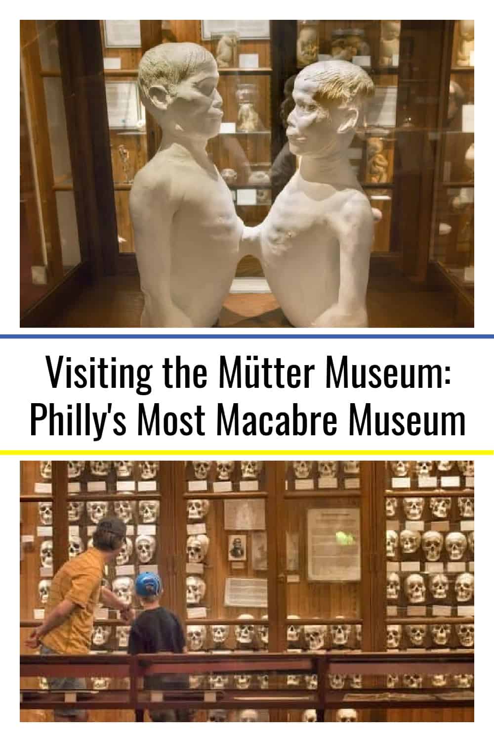 Visiting the Mütter Museum: Philly's Most Macabre Museum - Uncovering PA