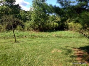 Hiking in Little Buffalo State Park to Discover its Beauty and History ...