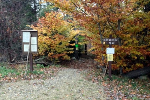 Pennsylvania Waterfalls: How to Get to Dutchman Falls in Sullivan ...