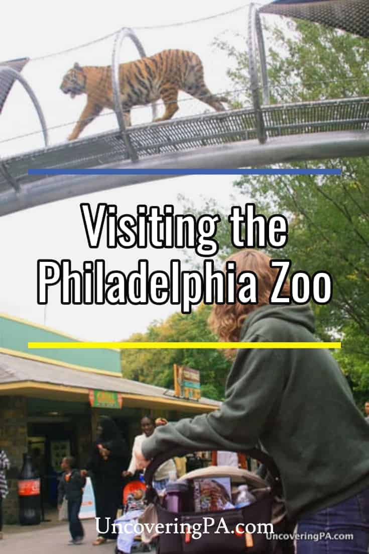 Visiting the Philadelphia Zoo: Top Tips and the Best Things to See