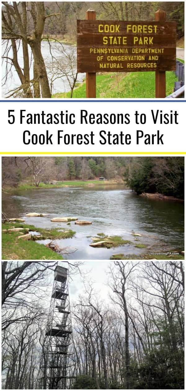 8 Amazing Things to Do in Cook Forest State Park - UncoveringPA