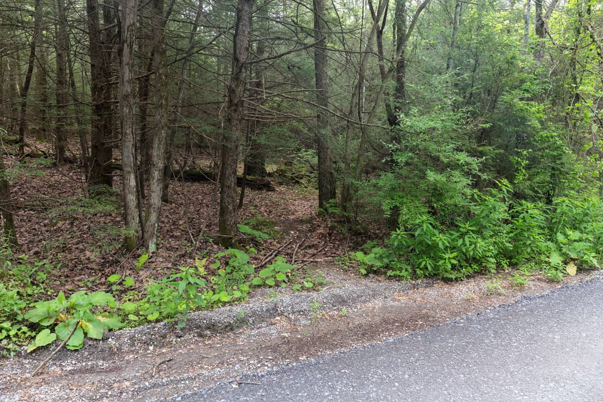 How to Get to Rosecrans Falls and McElhattan Falls in Clinton County, PA