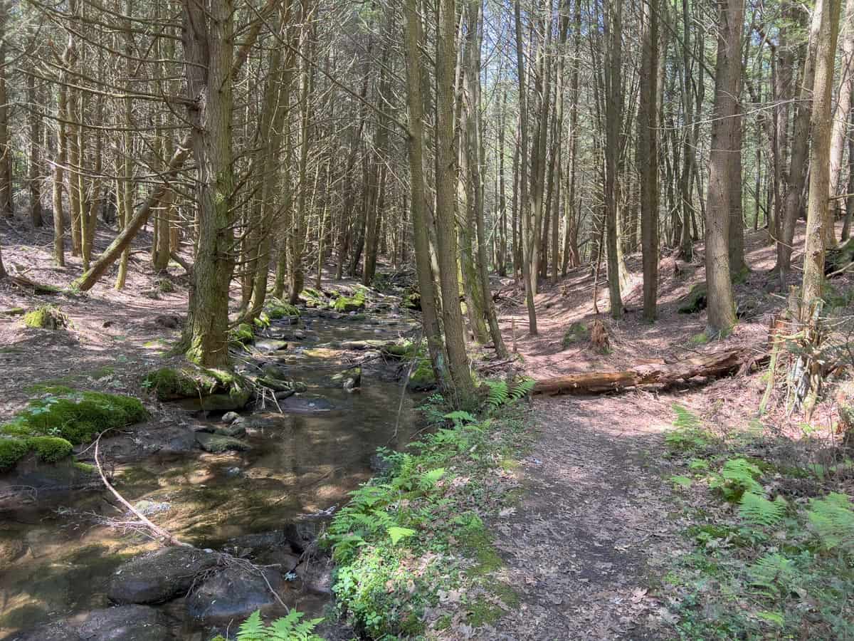 How to Get to Rosecrans Falls and McElhattan Falls in Clinton County, PA