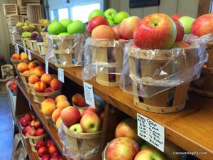 20 Great Orchards for Apple Picking in PA (Updated for 2025 ...