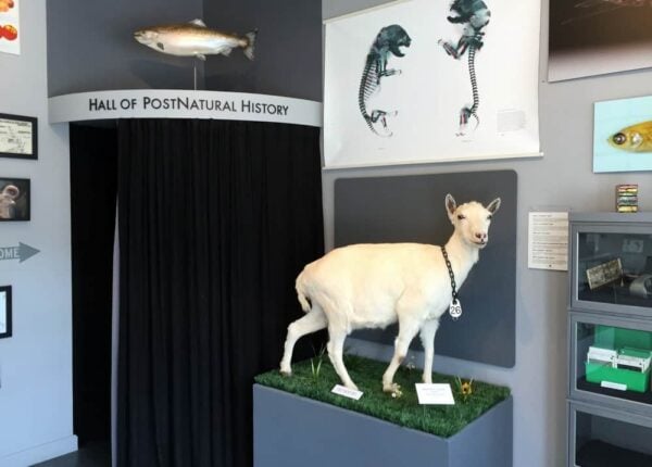 13 of the Best Free Museums in Pennsylvania - Uncovering PA