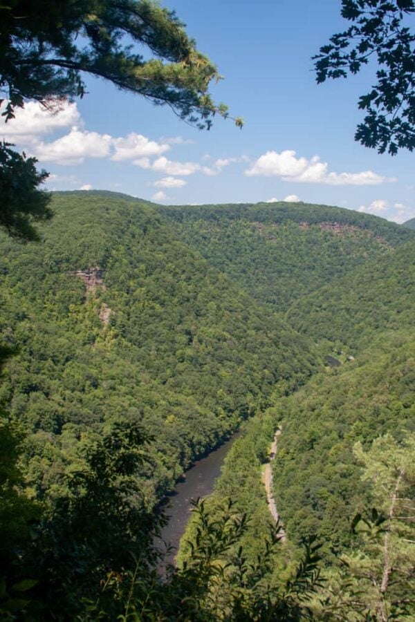 Exploring the Pennsylvania Grand Canyon's Trails, Vistas, and Waterfalls