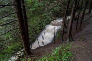 Exploring the Pennsylvania Grand Canyon's Trails, Vistas, and Waterfalls