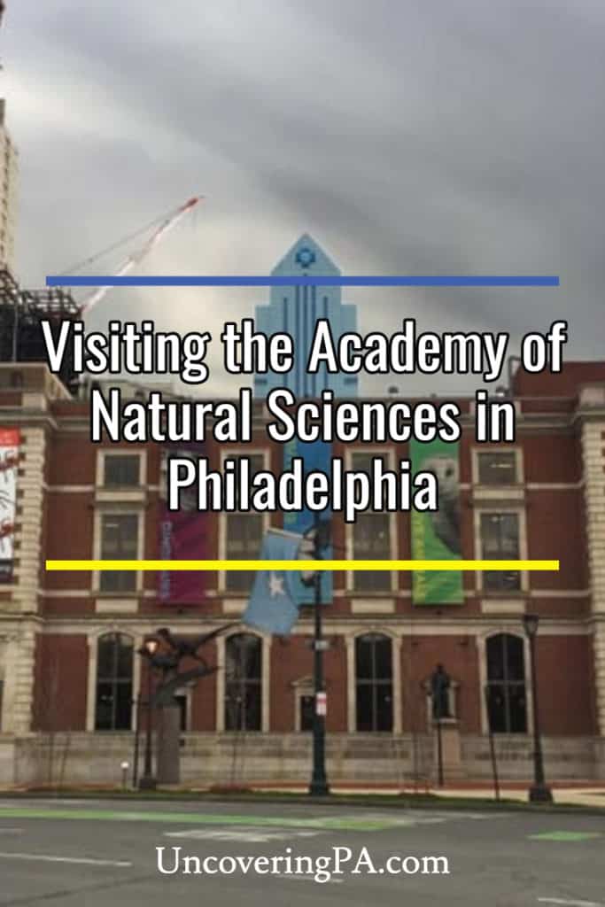 Visiting the Historic Academy of Natural Sciences in Philadelphia