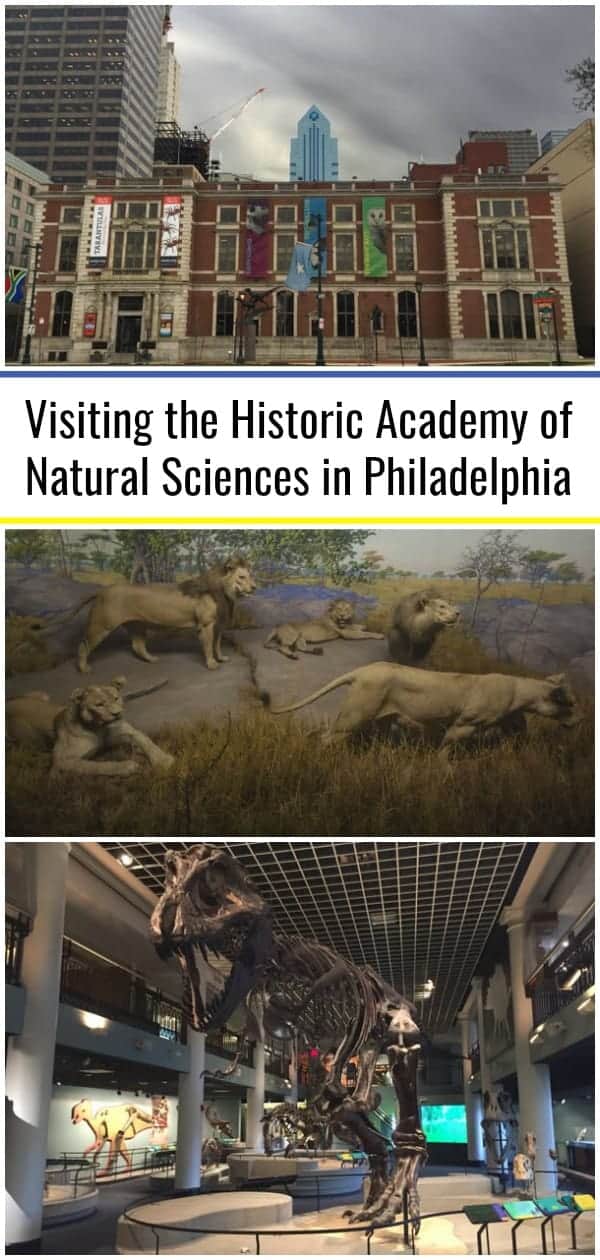 Visiting the Historic Academy of Natural Sciences in Philadelphia