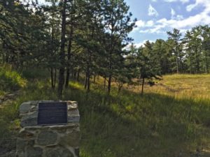 Hiking Through the Beautifully Unique Nottingham Serpentine Barrens of ...