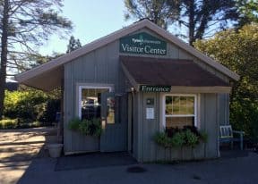 Visiting the Beautiful and Historic Grounds of the Tyler Arboretum ...
