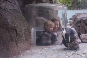 Visiting the National Aviary in Pittsburgh: PA's Best Destination for ...