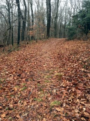 How to Get to the Duncan Run Waterfalls in York County, Pennsylvania