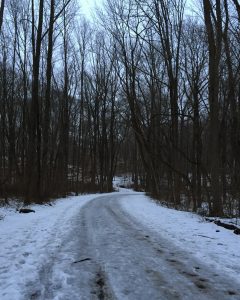 Visiting Schofield Ford Covered Bridge in Tyler State Park - Uncovering PA