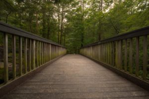 Hiking at Seven Tubs Recreation Area in Wilkes-Barre, PA - UncoveringPA