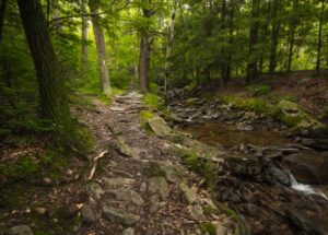 Hiking at Seven Tubs Recreation Area in Wilkes-Barre, PA - UncoveringPA