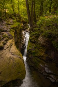 Hiking at Seven Tubs Recreation Area in Wilkes-Barre, PA - UncoveringPA