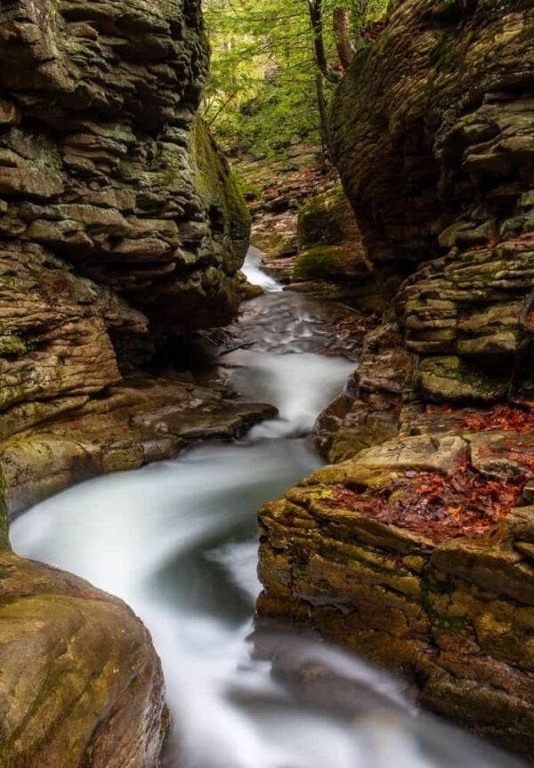 Hiking at Seven Tubs Recreation Area in Wilkes-Barre, PA - UncoveringPA