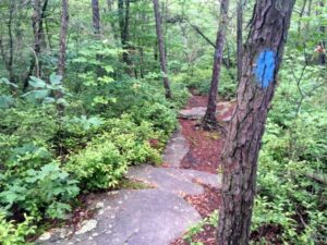 Hiking at Seven Tubs Recreation Area in Wilkes-Barre, PA - UncoveringPA