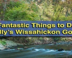 19 Spots for Epic Photos of Philadelphia's Skyline - UncoveringPA