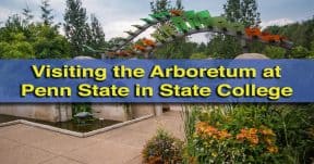 Exploring the Beautiful Arboretum at Penn State in State College ...