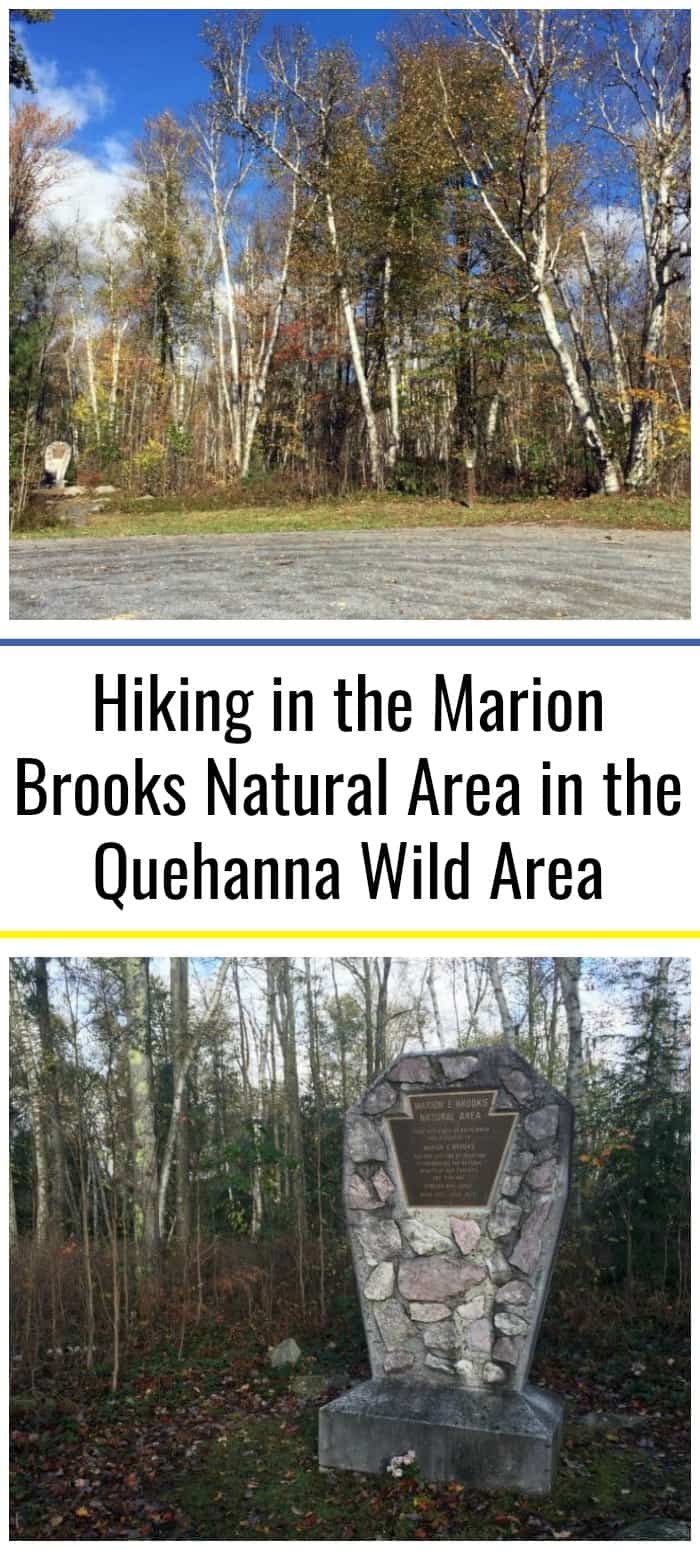 Hiking in the Marion Brooks Natural Area in the Quehanna Wild Area ...