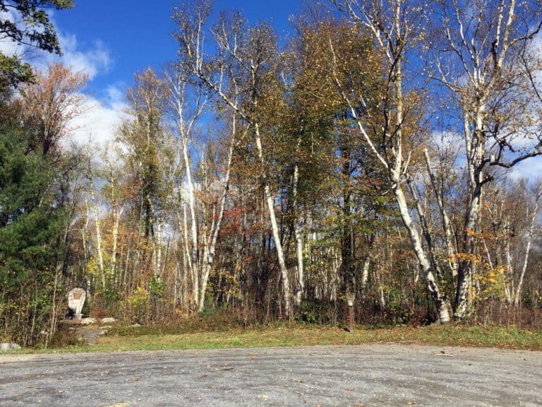 Hiking in the Marion Brooks Natural Area in the Quehanna Wild Area ...