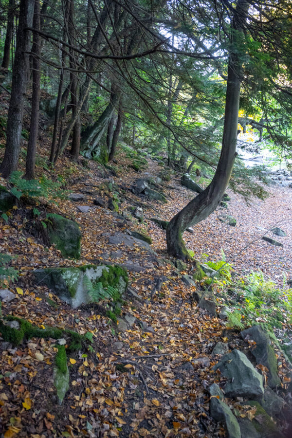 How to get to Breakneck Falls in McConnells Mill State Park - Uncovering PA
