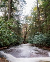 Hiking the Flat Rock Trail in Linn Run State Park - Uncovering PA