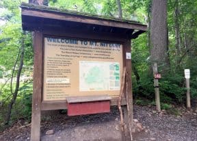 Everything You Need to Know for a Great Mount Nittany Hike - Uncovering PA