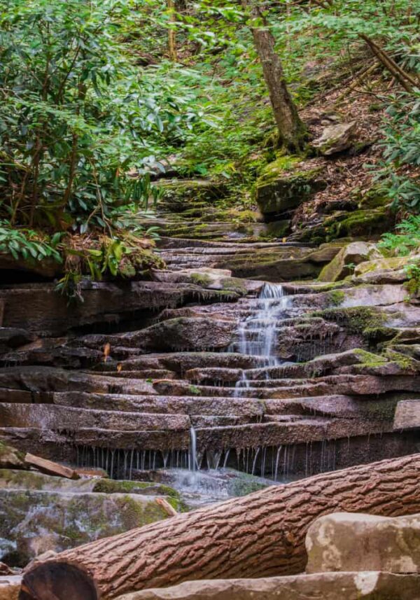 7 Awesome Things to Do in Trough Creek State Park - Uncovering PA
