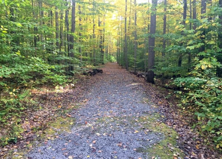 Hiking the Barbour Rock Trail in the Pennsylvania Grand Canyon