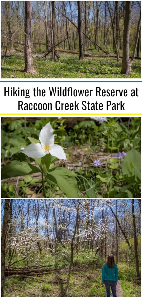 Hiking through the Colorful Wildflower Reserve at Raccoon Creek State ...