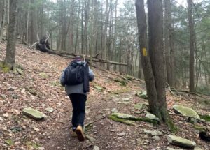 How to Get to Jacoby Falls in Pennsylvania's Loyalsock State Forest