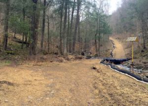 How to Get to Jacoby Falls in Pennsylvania's Loyalsock State Forest