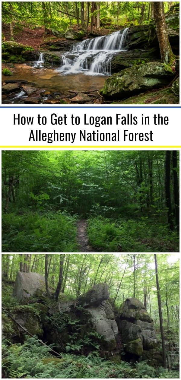 How to Get to Logan Falls in the Allegheny National Forest in Pennsylvania