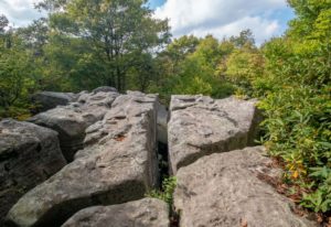 Visiting Mount Davis: The Tallest Mountain in Pennsylvania - Uncovering PA