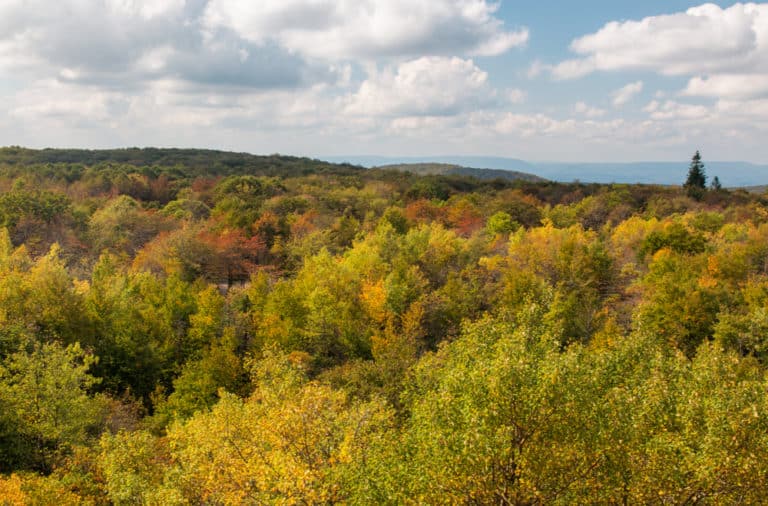 Visiting Mount Davis: The Tallest Mountain in Pennsylvania - Uncovering PA