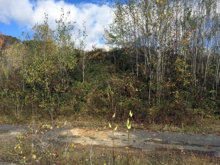 The Abandoned Nuclear Jet Bunkers in the Quehanna Wild Area - Uncovering PA