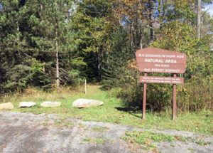 The Abandoned Nuclear Jet Bunkers in the Quehanna Wild Area - Uncovering PA