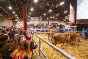 2025 Pennsylvania Fairs: Everything You Need to Know - Uncovering PA