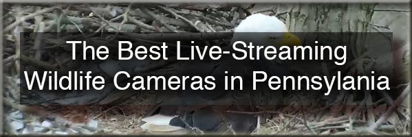 10 Can't-Miss National Park Service Sites in Pennsylvania - UncoveringPA