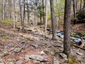 Bushkill Falls: Is It Worth Paying to See this Waterfall in the Poconos ...