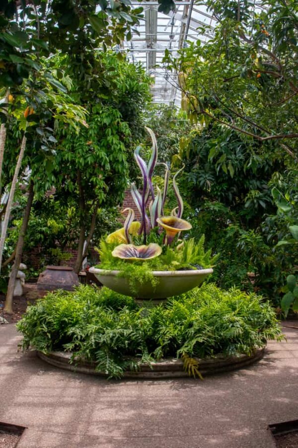 Exploring the Beauty of Phipps Conservatory in Pittsburgh - Uncovering PA