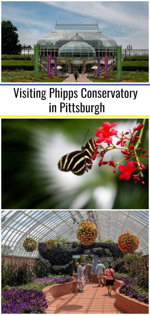 Exploring the Beauty of Phipps Conservatory in Pittsburgh - Uncovering PA
