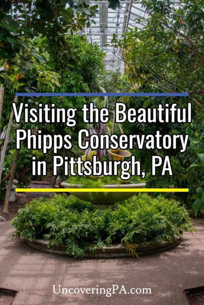 Exploring the Beauty of Phipps Conservatory in Pittsburgh - UncoveringPA