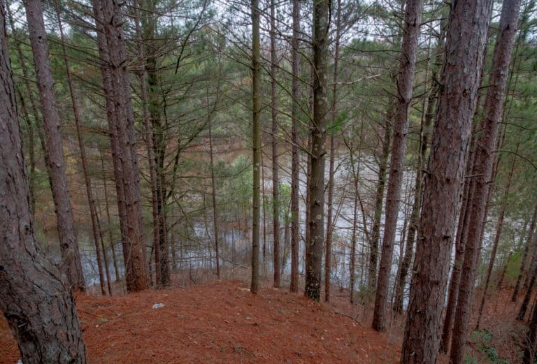 Exploring the Scotia Barrens and the Abandoned Ruins of Scotia, PA ...