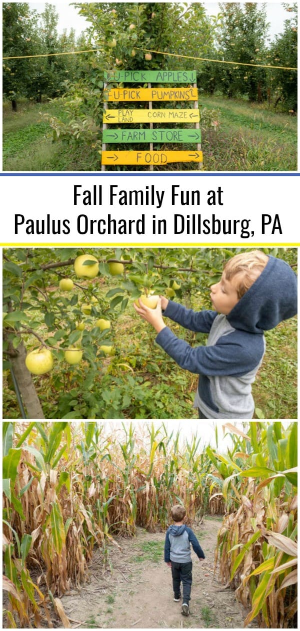 Fall Family Fun at Mt. Airy Orchards in Dillsburg, PA - Uncovering PA