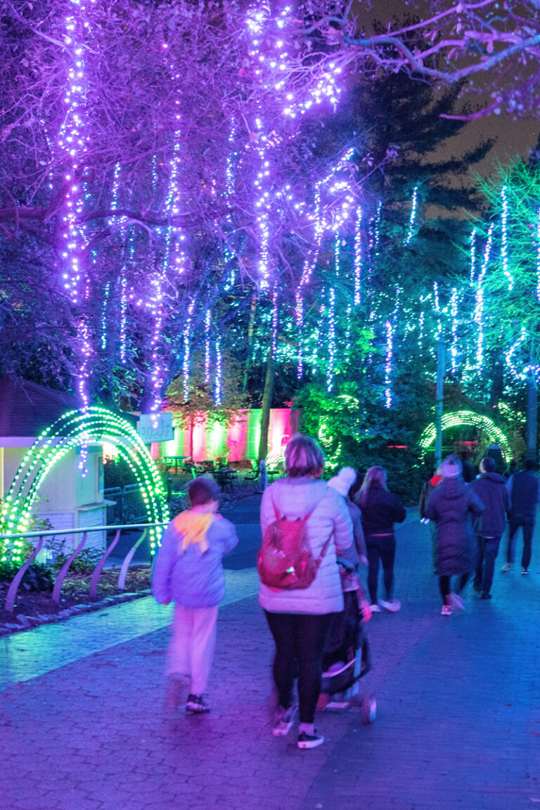 LumiNature at the Philadelphia Zoo: Holiday Lights with a Twist ...