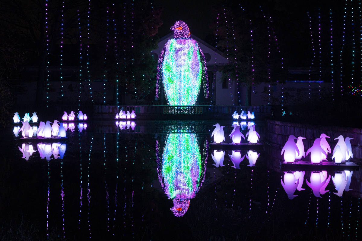 LumiNature at the Philadelphia Zoo: Holiday Lights with a Twist ...